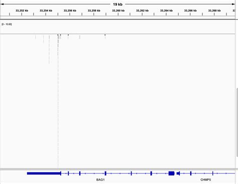 Samtools Ampliconclip Hard Clip Not Giving Same Results As Soft Clip · Issue 1717 · Samtools