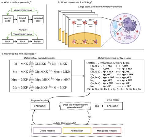 julia s metaprogramming feature a illustration of metaprogramming