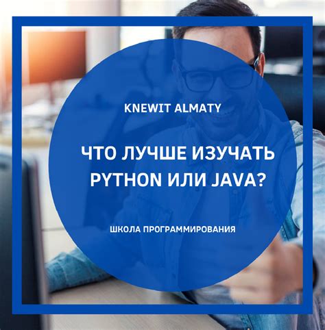 Что лучше изучать Java или Python Курсы программирования Knewit