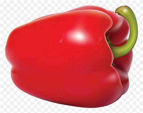 Перец картинка для детей на прозрачном фоне