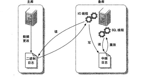 关于linux下mysql集群同步主从、一主多从、主从从部署及同步策略的一些笔记