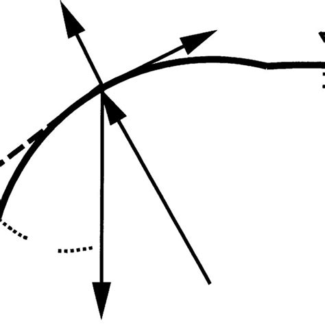 Local Curvilinear Coordinate System Download Scientific Diagram