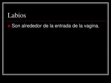 Female Reproductive System Ppt Descargar