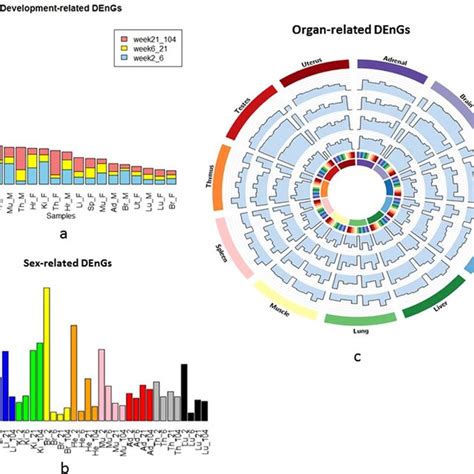 Identification Of Differentially Expressed Noncoding Genes A Download Scientific Diagram