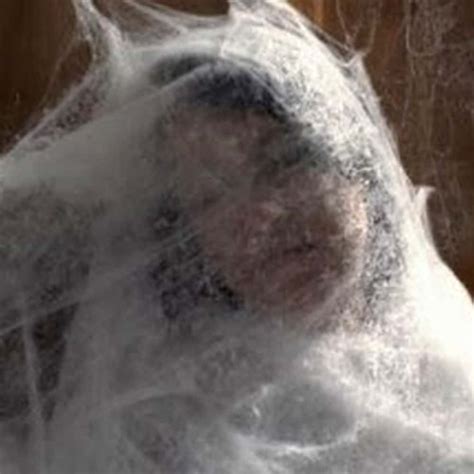 32 Scary Movies With Spiders Ranked