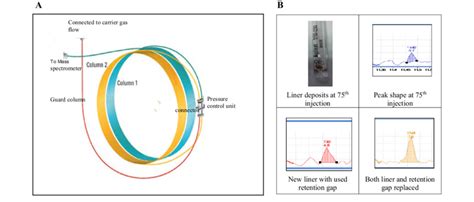 A Schematic Diagram Of Column Configuration With Introduction Of Guard Download Scientific