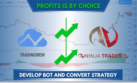 Create Script Both Tradingview And Ninjatrader By Syntheticfx95 Fiverr