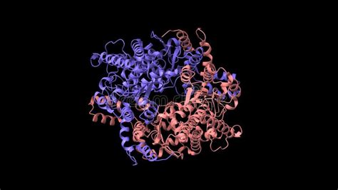Structure Of Human Glucose 6 Phosphate Isomerase Stock Video Video Of