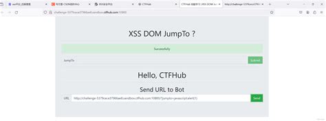 xss漏洞学习（题解） xss漏洞答案 csdn博客