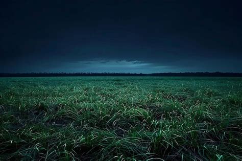 Dark Grassy Field At Night With A Large Dark Sky Creating An Eerie And