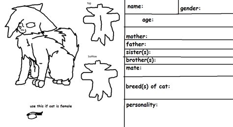 Warrior Cat Ref Sheet Base By Frostthecat01 On DeviantArt