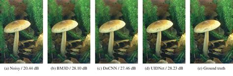 Figure 1 From End To End Unpaired Image Denoising With Conditional Adversarial Networks