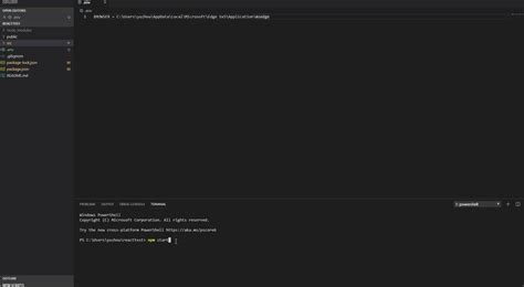 Reactjs Testing A React App In With Microsoft Edge Canary Stack Overflow