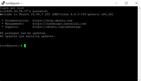 Masternode Wallet Setup Linux Server Paccoin PAC Masternode Setup