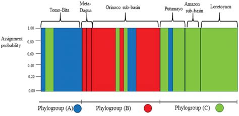 assignment of bayesian analysis bi under an admixture clustering for