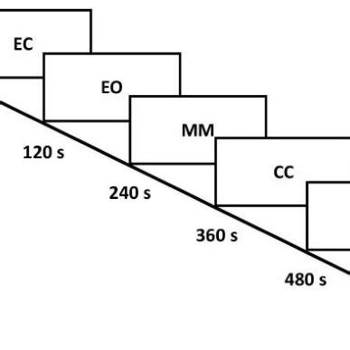 EEG Experiment Paradigm Of The Cognitive Training Programs Download