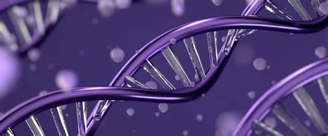 Estradiol How Affects Your Fertility And Ivf Vida Fertility