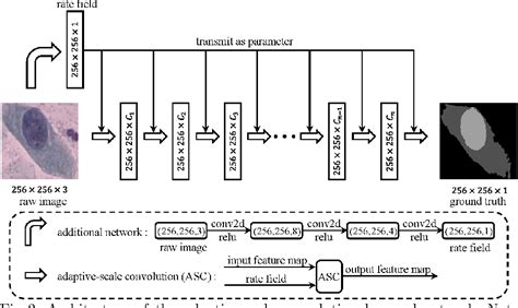 Figure 2 From Ascnet Adaptive Scale Convolutional Neural Networks For