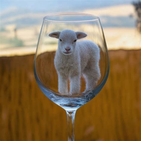 Muse Text To Image Generation Via Masked Generative Transformers