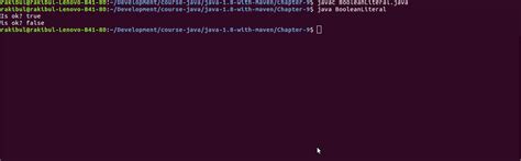 java literals integer literal decimal literal and binary literal by