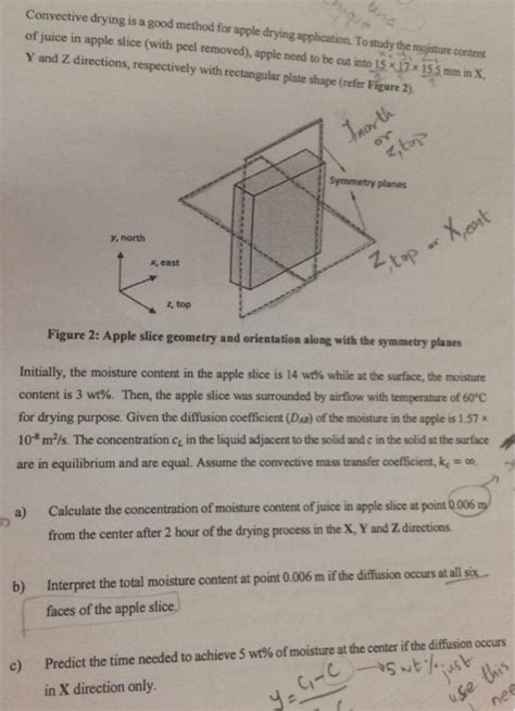 Convective Drying Is A Good Method For Apple Drying