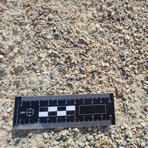 Sable 06 Concassé Calcaire Premium Livré En 48h Au Meilleur Prix