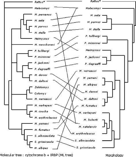 A Comparison Of The Molecular Synthetic Tree Based On Ml Combined