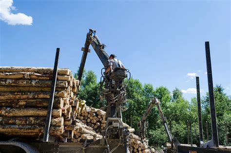 What Does A Logging Worker Do How To Become One