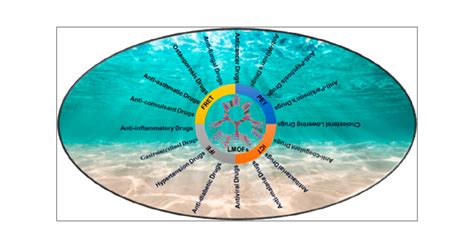 Metalorganic Framework Based Fluorescent Sensors For The Detection Of