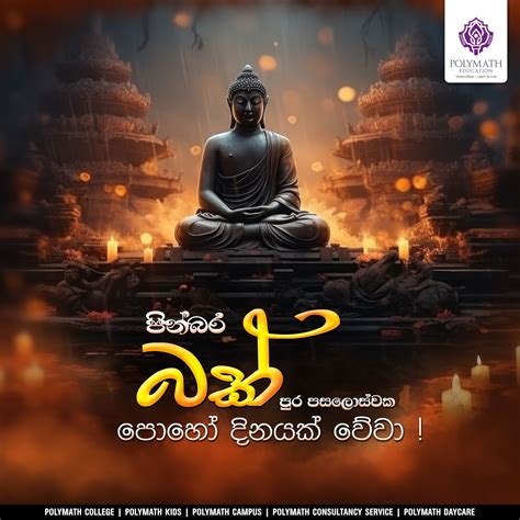 Polymath Higher Education