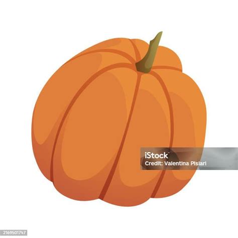 잘 익은 오렌지 호박 건강한 유기농 야채 가을 수확 조롱박 추수 감사절과 할로윈 가을 호박 흰색 배경에 고립 된 평면 벡터 만화 그림 10월에 대한 스톡 벡터 아트 및 기타