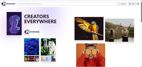 your professional web developer in next js tailwind css by growmore728 fiverr