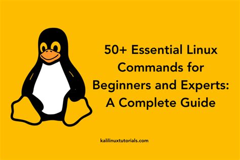 50 Essential Linux Commands For Beginners And Experts A Complete
