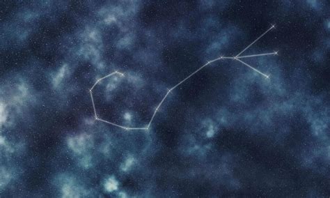 전갈 자리 별 별자리 밤하늘 별자리 라인 전갈 프리미엄 사진