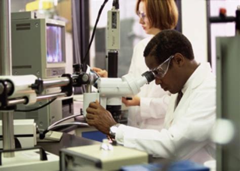 Facts About Biomedical Engineering Fact File