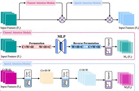 The Schematic Representation Of Gam Download Scientific Diagram