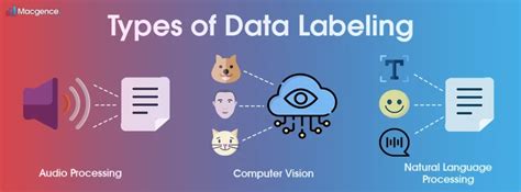 数据标记：综合指南 Macgence