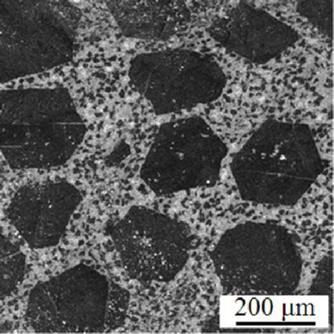 Microstructure Of Diamond Silicon Carbide Composite Download