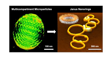 Confinement Assembly Of Abc Triblock Terpolymers For The High Yield Synthesis Of Janus Nanorings