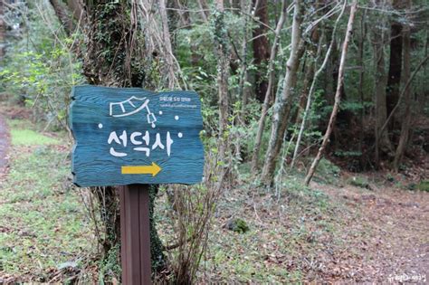 제주도 절 사찰 여행 지역문화재 활용 여행지 추천 선덕사 네이버 블로그