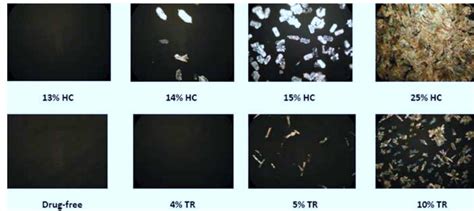 Microscopic Examination Of Drug Loaded Eudragit L100 Films