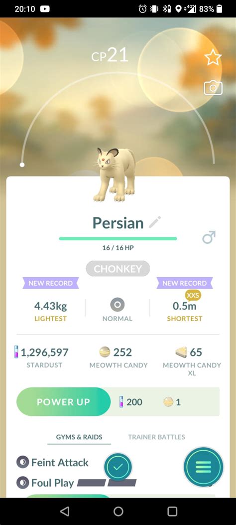 Tiny Flex R PokemonGOValor