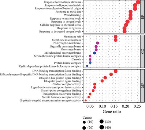 A Go Based Functional Enrichment Analysis A The Bubble Chart Was