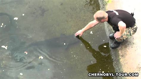 Giant Catfish Chernobyl