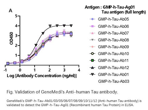 Tau Antibodies For Alzheimers Research Genemedi