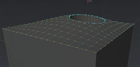 Holes For Mesh Surfaces User Feedback Developer Forum
