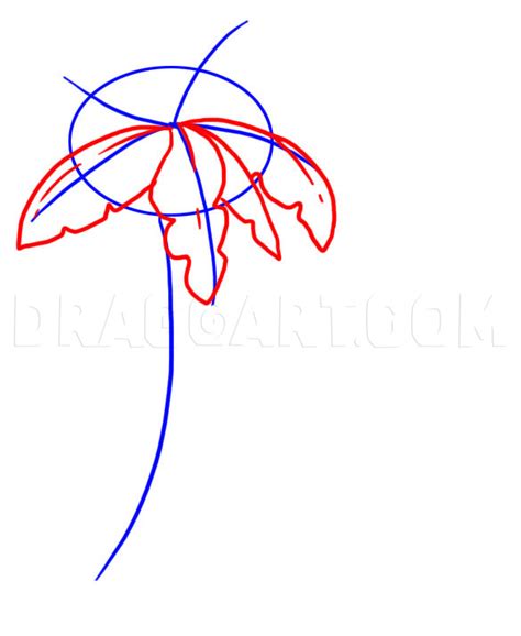 How To Draw A Palm Tree Drawing Step By Step By Dawn DragoArt