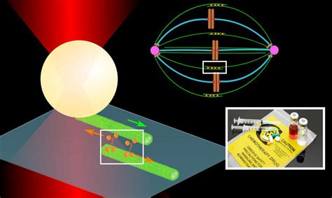 Seraya C Jones Nelson On Linkedin And Engineering Lab At Ole Miss