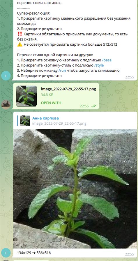 Github Ankkarpstylebot