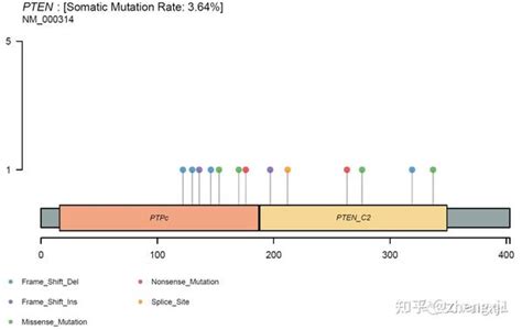 突变处理maf 知乎